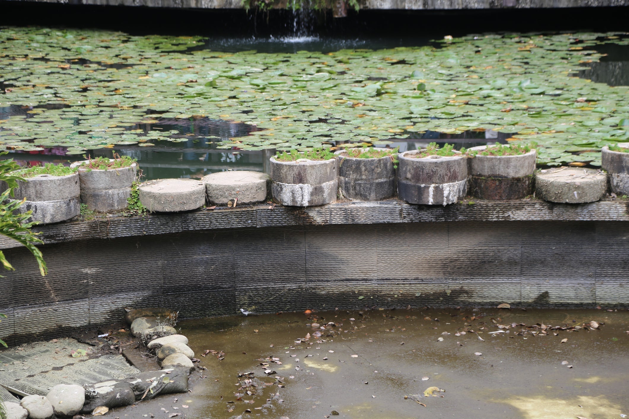 How to Build a Raised Pond – Pond Planet