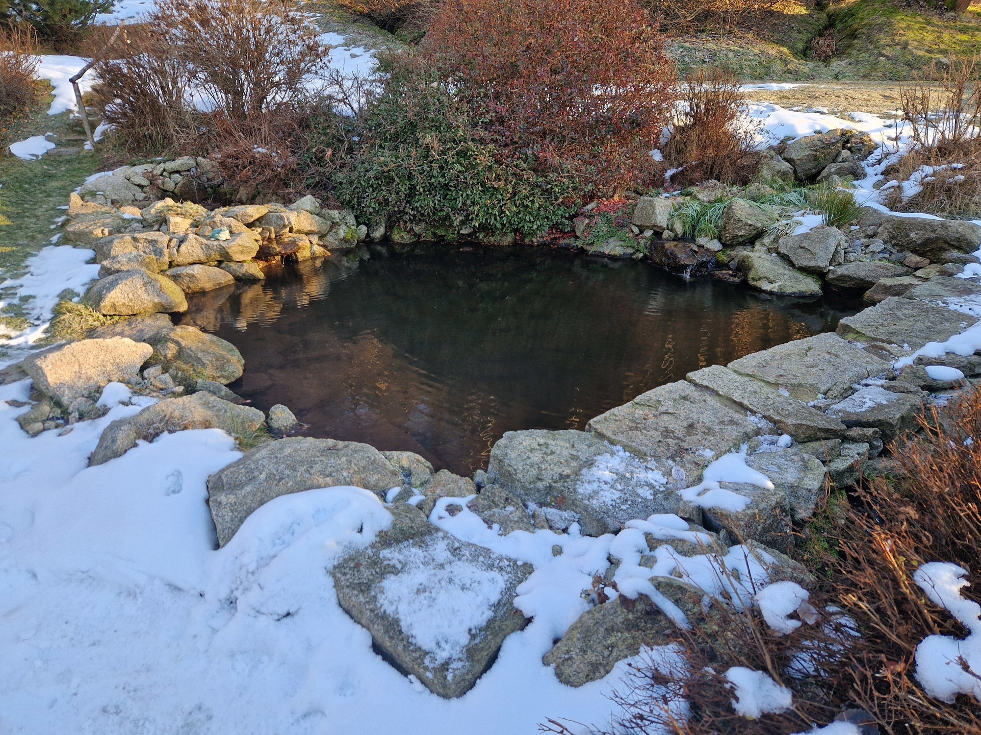 4 Tips to Keep your Pond Warm in Winter – Pond Planet