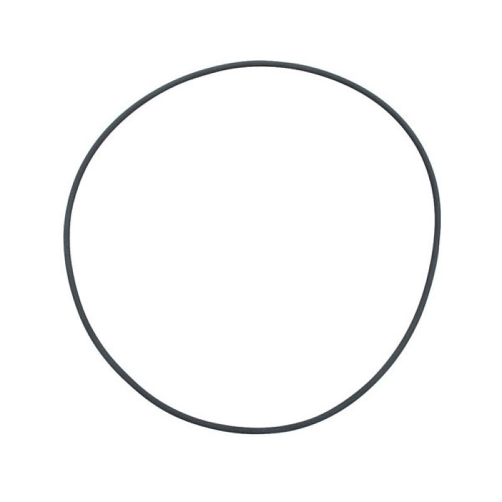 Fluval Fx4Fx5Fx6 Filter Lid O Ring - Pond Planet