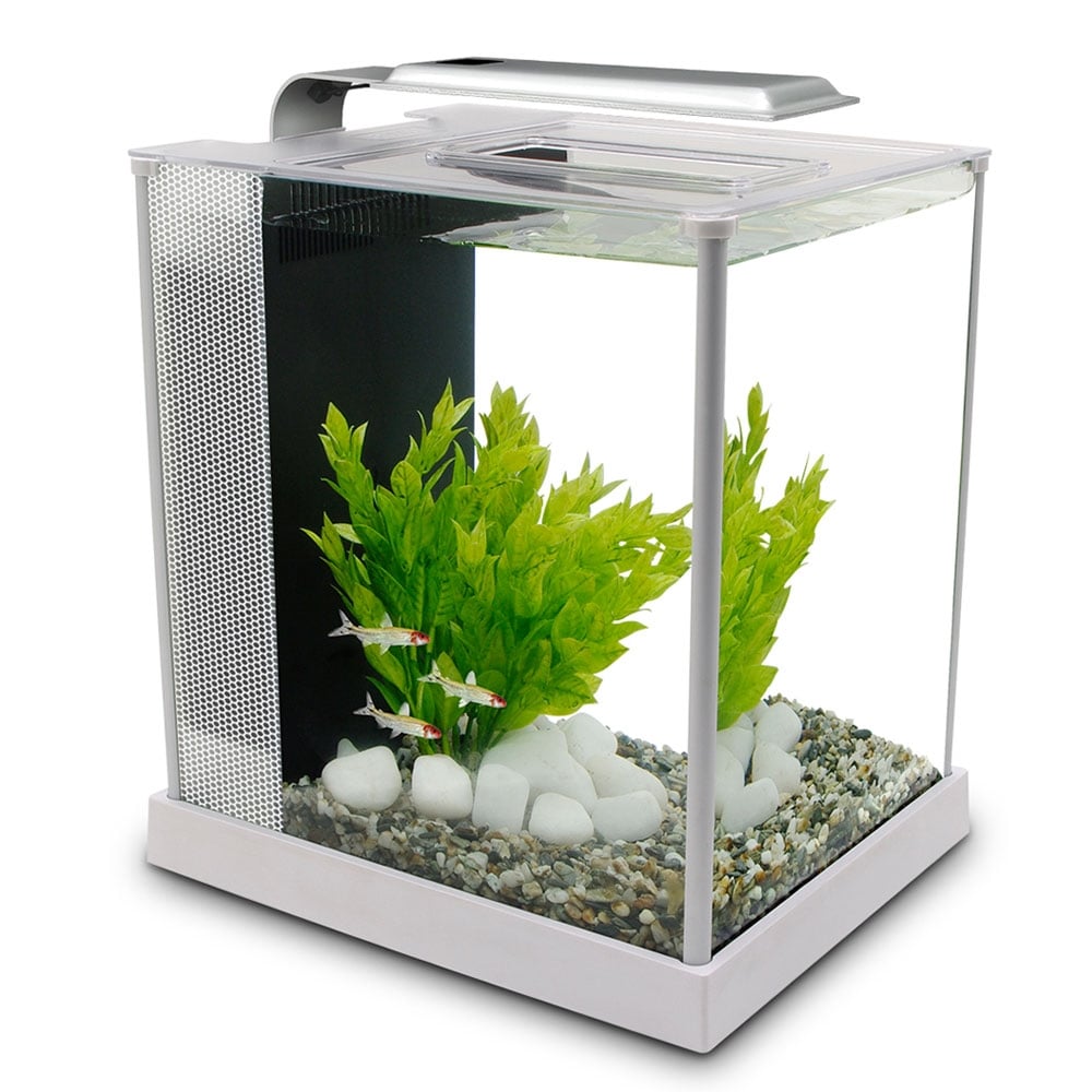 Fluval Spec Aquarium 10L White - Pond Planet