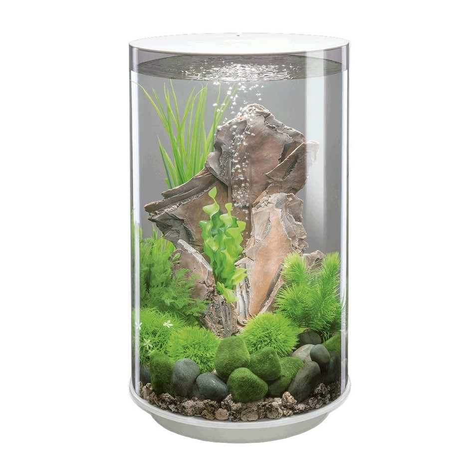 BiOrb Aquariums & Fish Tanks | HALO, Tube & Life | Pond Planet