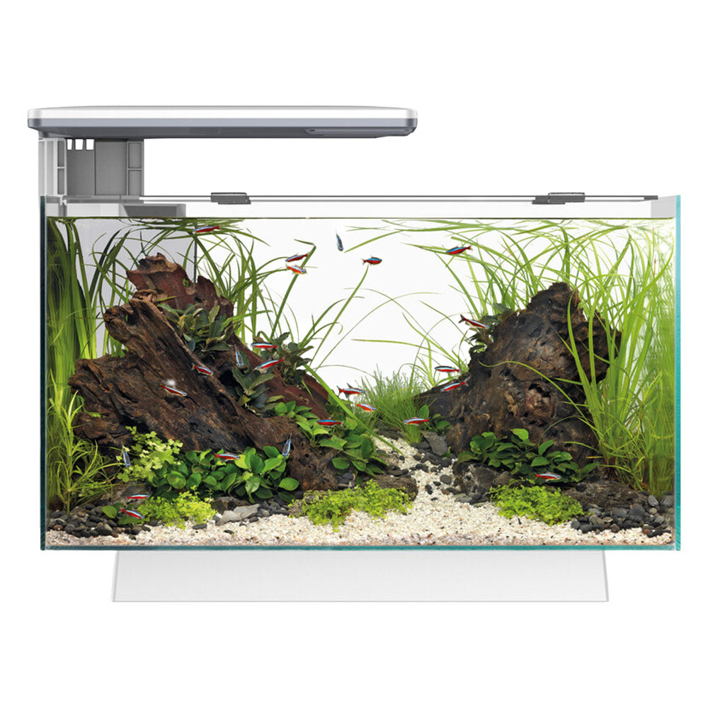 SuperFish QUADRO 40 Pro LED Aquarium - White – Pond Planet