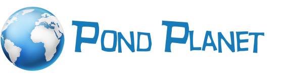 Get Your Pond Ready for Winter: Expert Pond Care Tips – Pond Planet